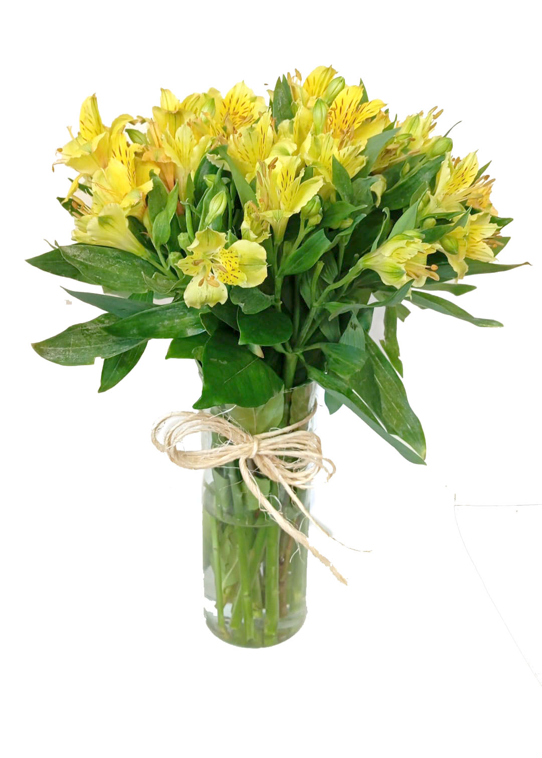 Vaso de Alstro Amarelas – Flora Kamisaki
